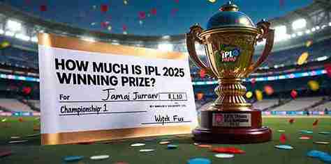 How Much is IPL 2025 Winning Prize? - IPL PAPAJI